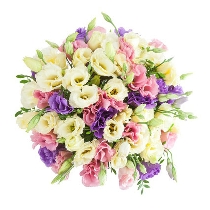 Ziedu piegāde, Ziedi: Ziedu pušķi